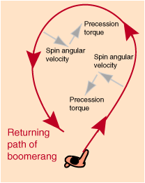 A properly thrown boomerang leav